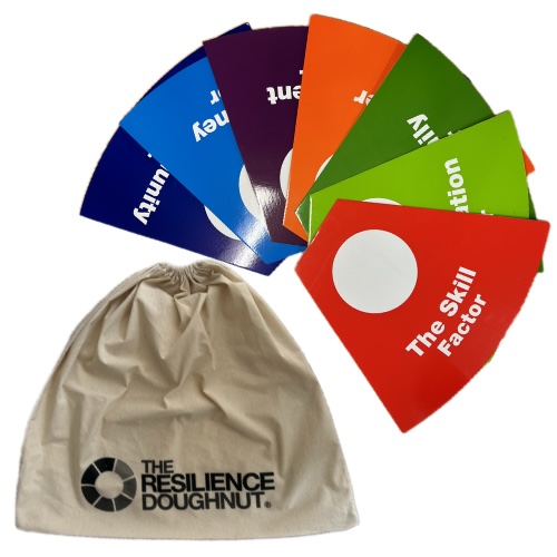 The Resilience Doughnut – Large Floor Model + Carry Bag - The ...