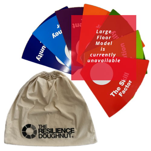 The Resilience Doughnut – Large Floor Model + Carry Bag - The ...