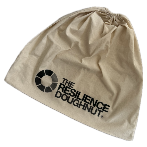 The Resilience Doughnut - Carry Bag - The Resilience Doughnut