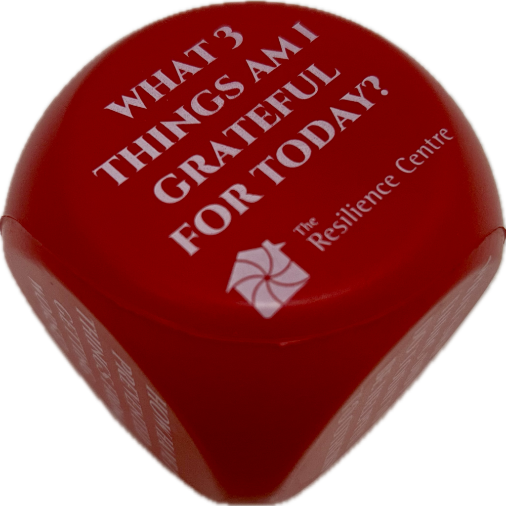 Foam Dice Toy - Solution Focused Questions - The Resilience Doughnut